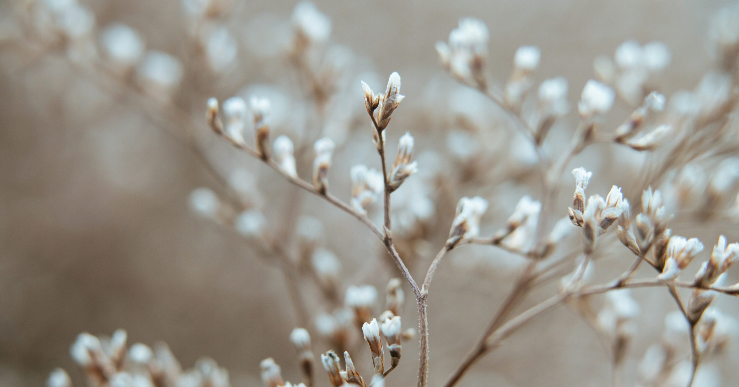 Arkut ja uurnat - Haukiputaan Hautaustoimisto